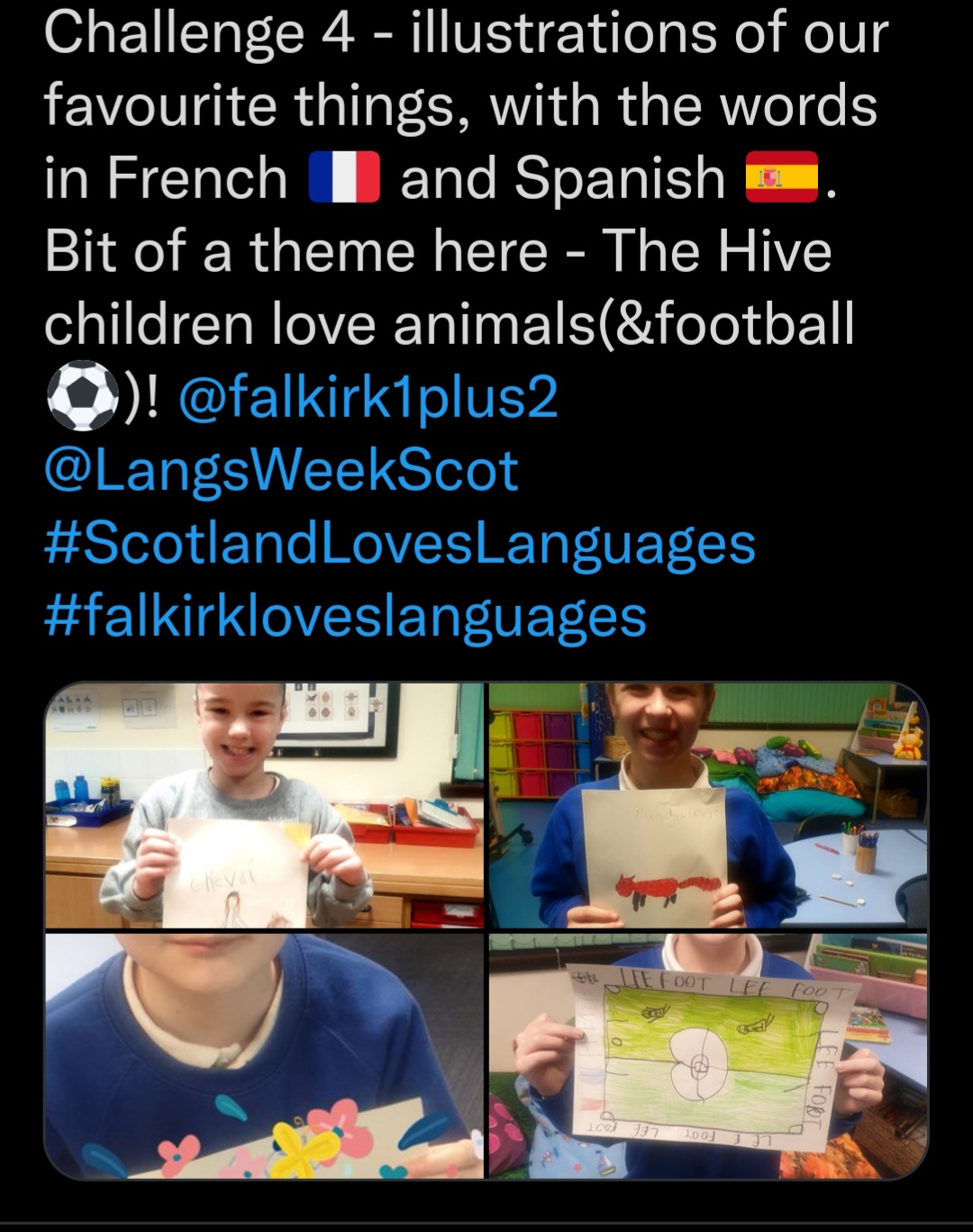 Celebrating LWS in schools